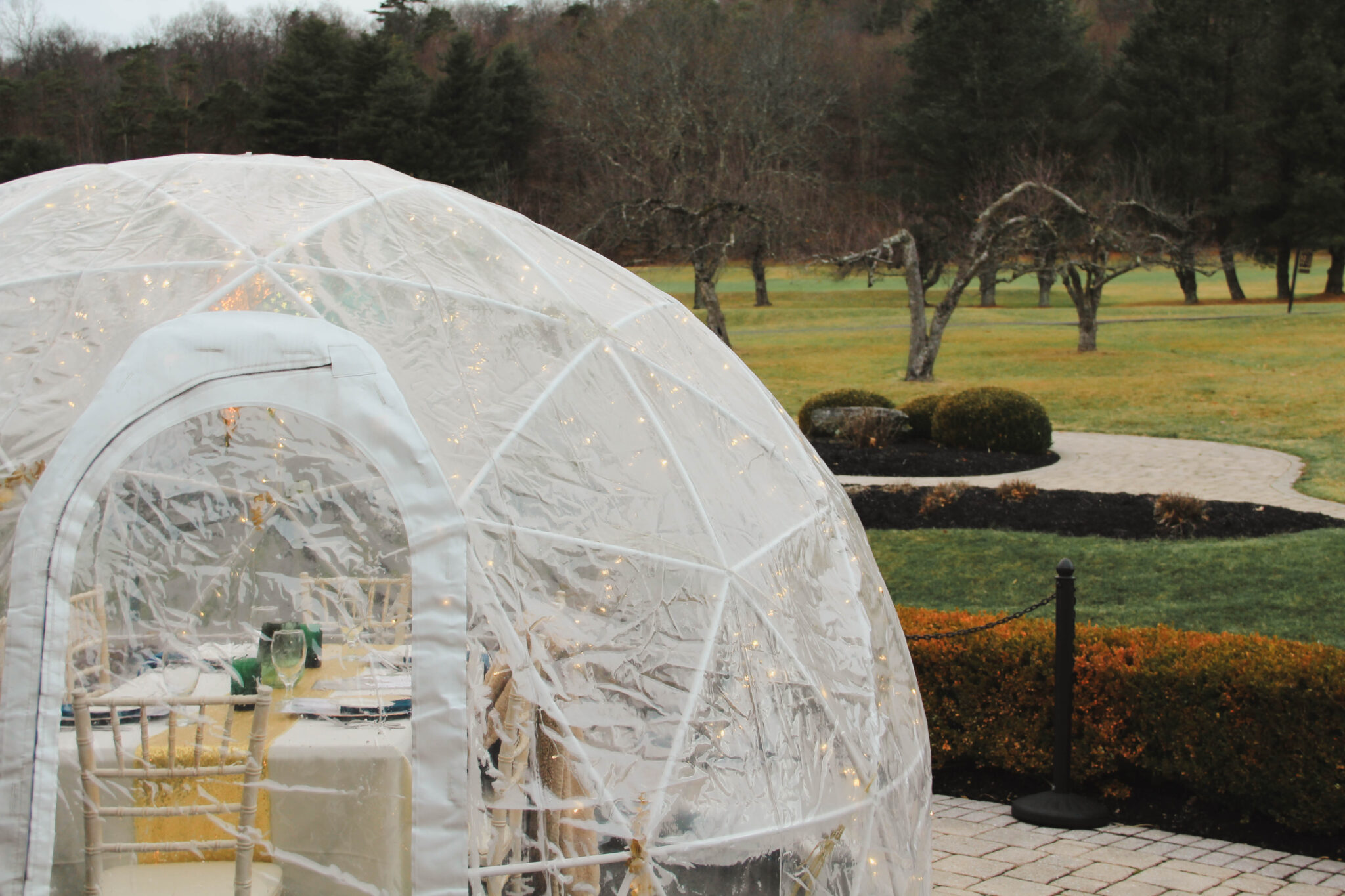 Why Dining in an Igloo is the Ultimate Winter Experience